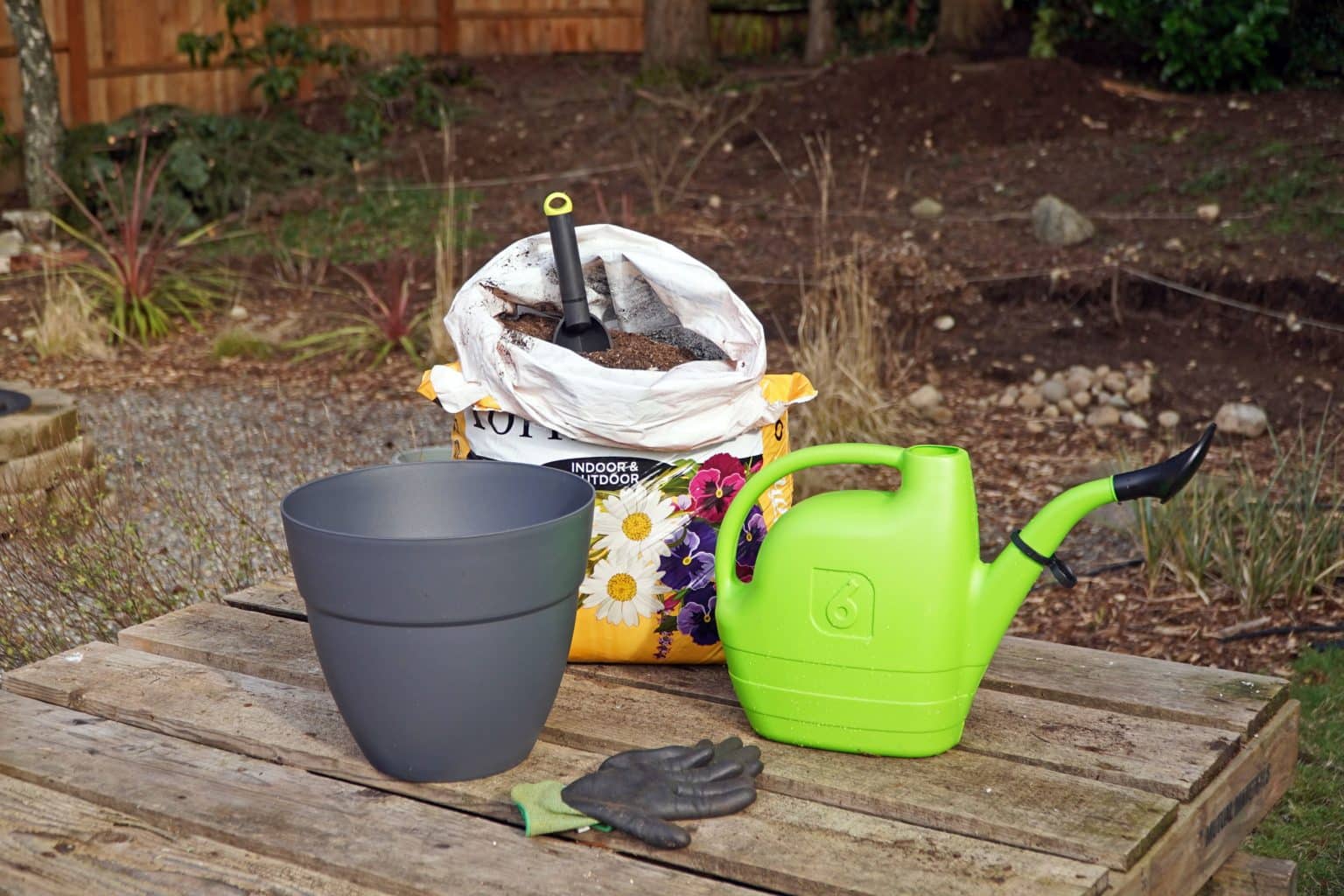 Small, Spring Containers with Big Personalities | Crescent Garden