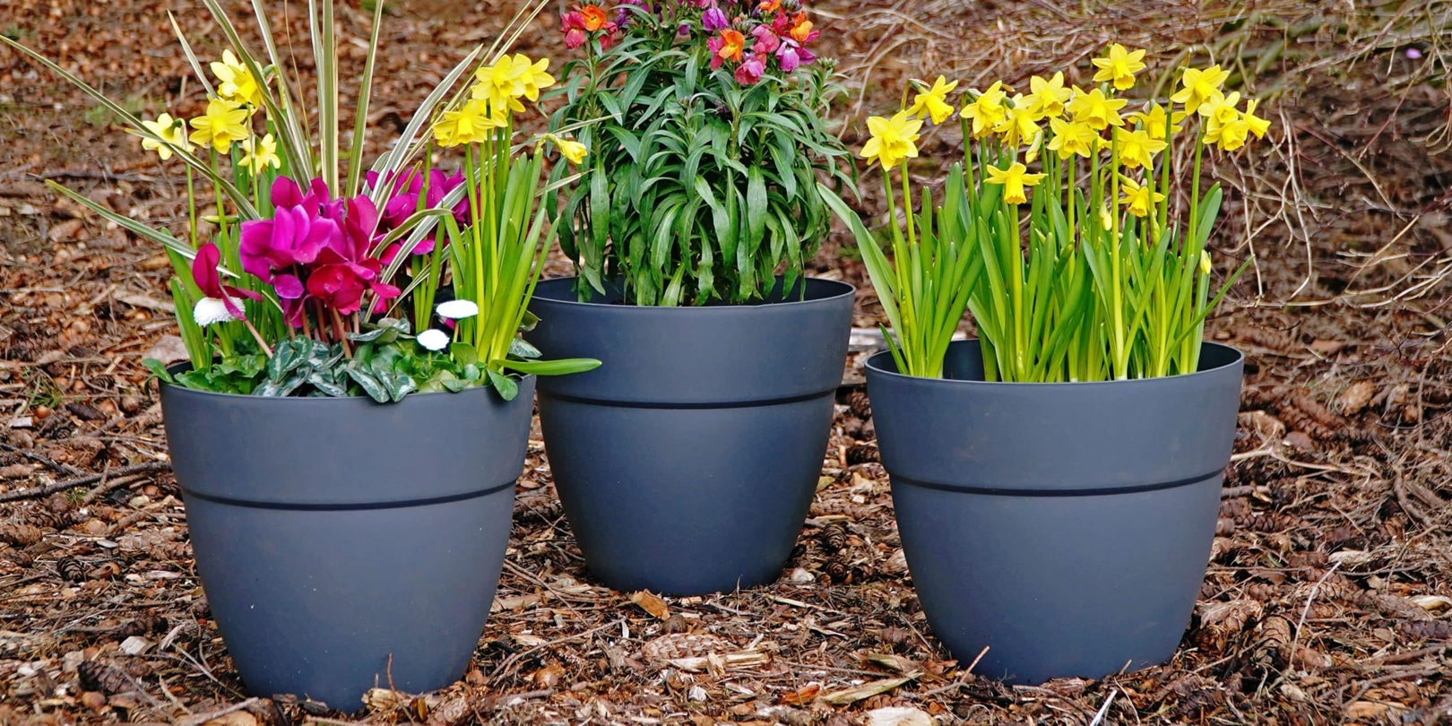Small, Spring Containers with Big Personalities | Crescent Garden
