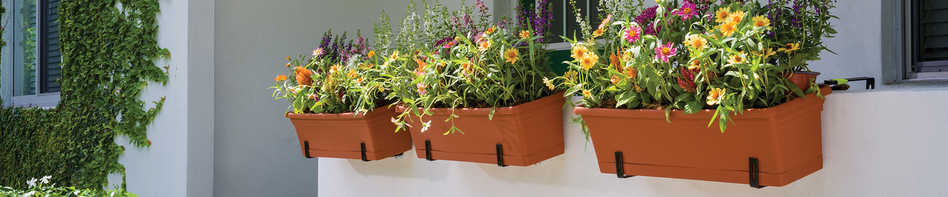 Rail Planters | Crescent Garden