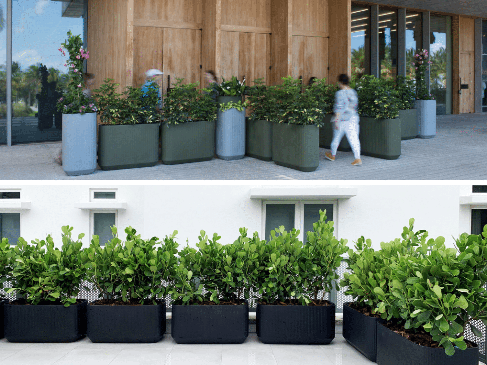 Finding the modern garden planter you need