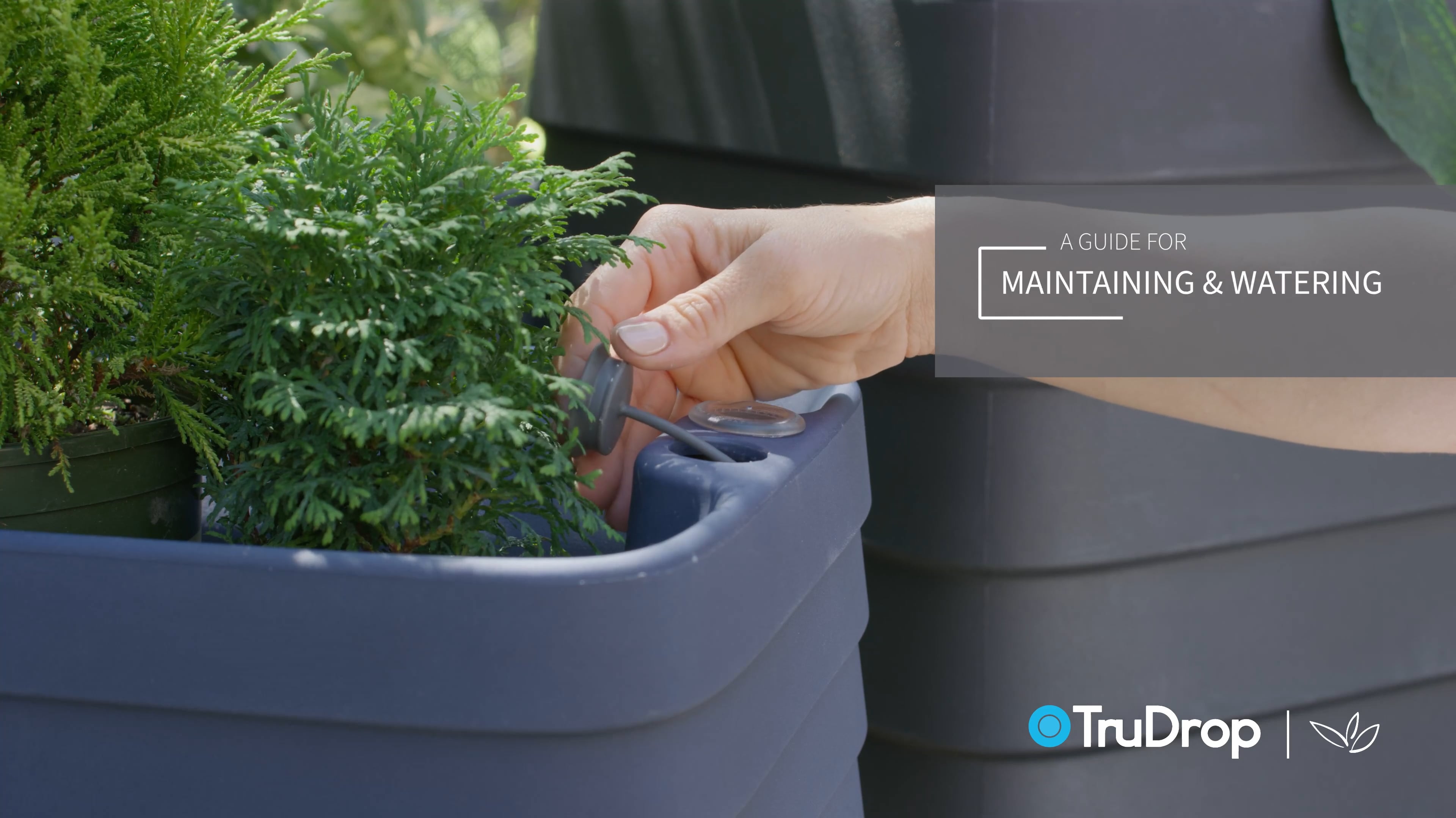 TruDrop Self-Watering Planters: Maintenance & Watering - Crescent Garden