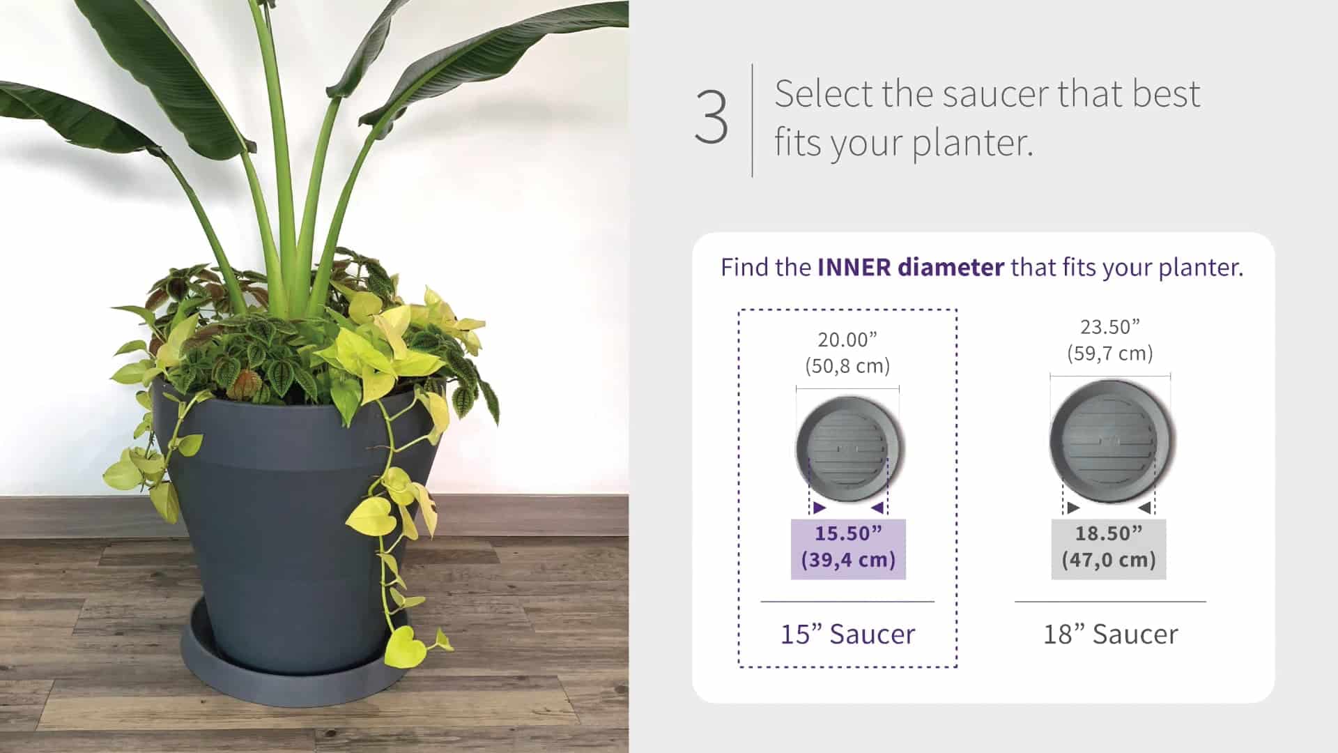 How to Choose the Perfect Saucer Size for Your Planter - Crescent Garden